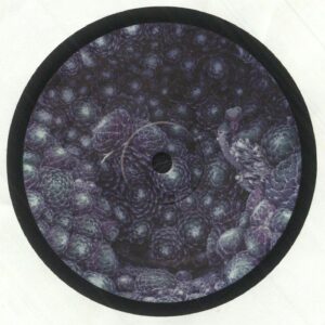 Incremental - KSR 12 - Melting Pot