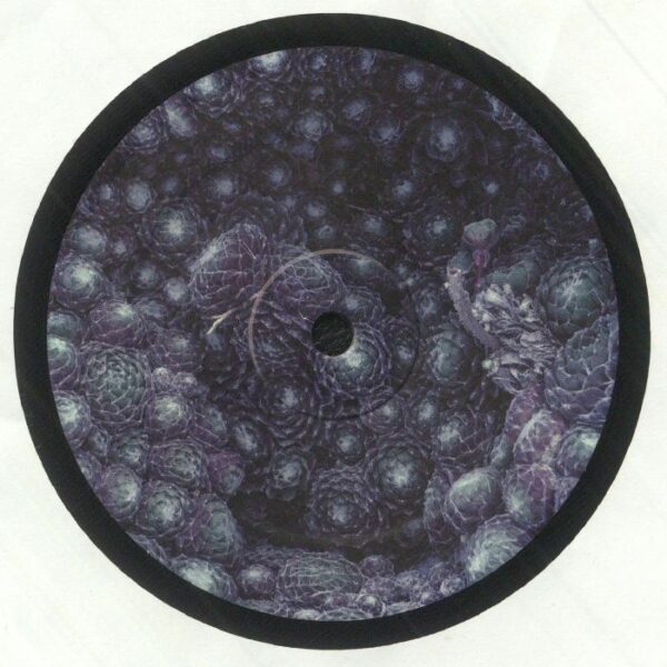 Incremental - KSR 12 - Melting Pot